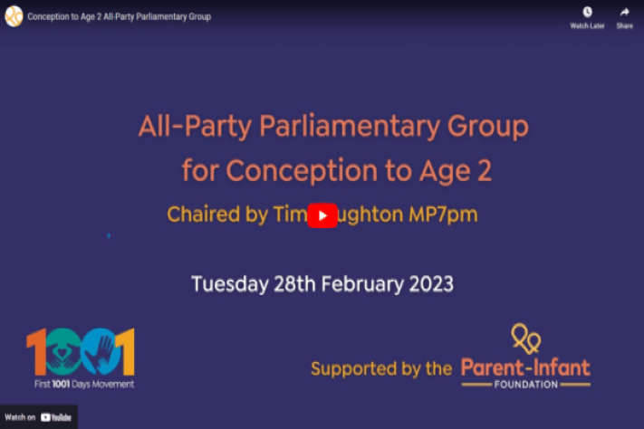 iHV presents at APPG for Conception to Age Two - IHV