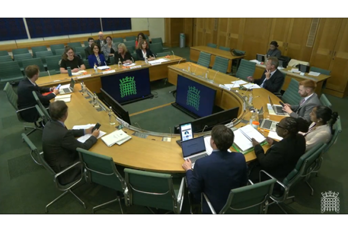 Speaking up – Alison Morton gives powerful oral evidence to First 1000 ...